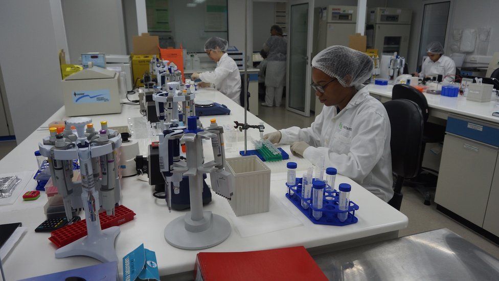 Zika outbreak: Brazil's race to find a vaccine - BBC News