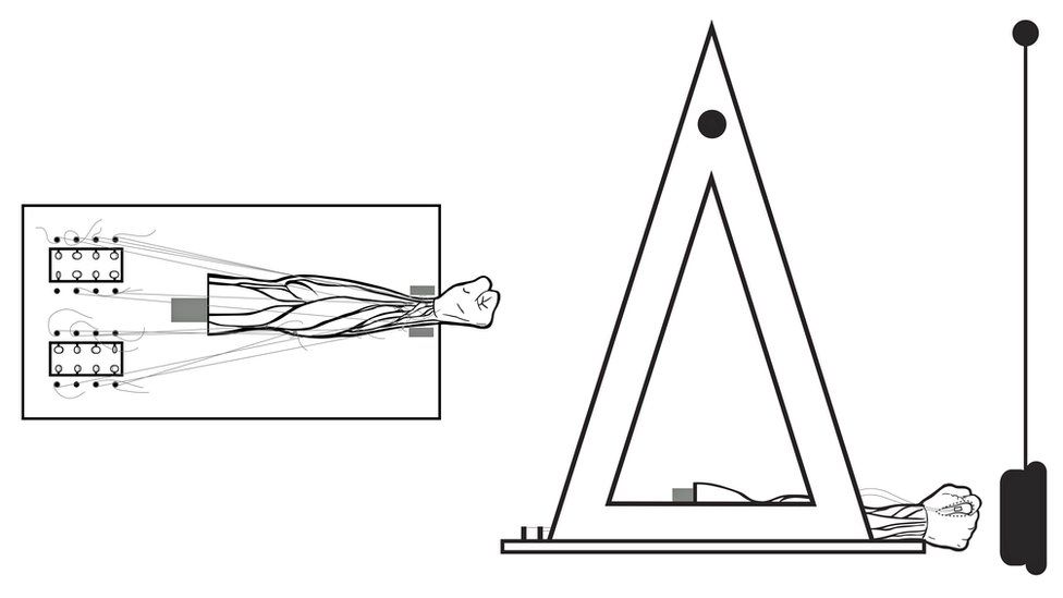 Dead arms test importance of clenched fists - BBC News