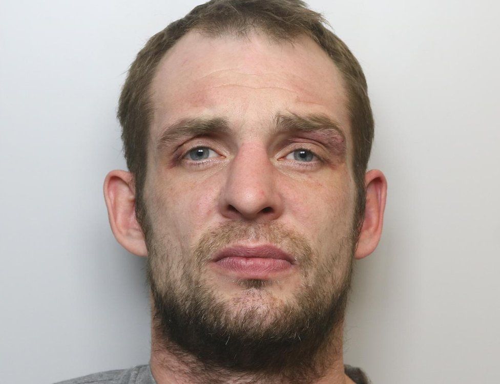 Boy's ear bitten off in racist attack: David Holroyd jailed - BBC News