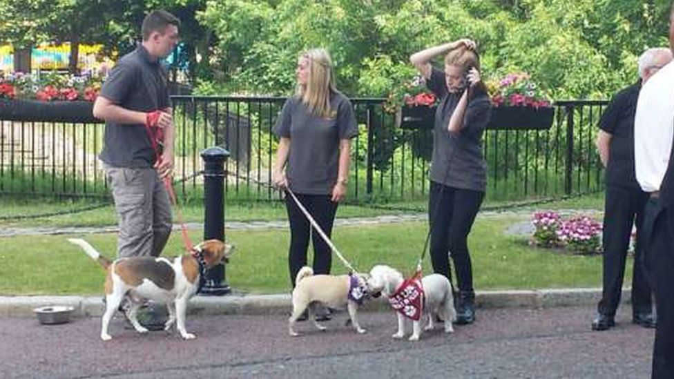 Carla Lane funeral: Actors pay tribute to TV sitcom writer - BBC News