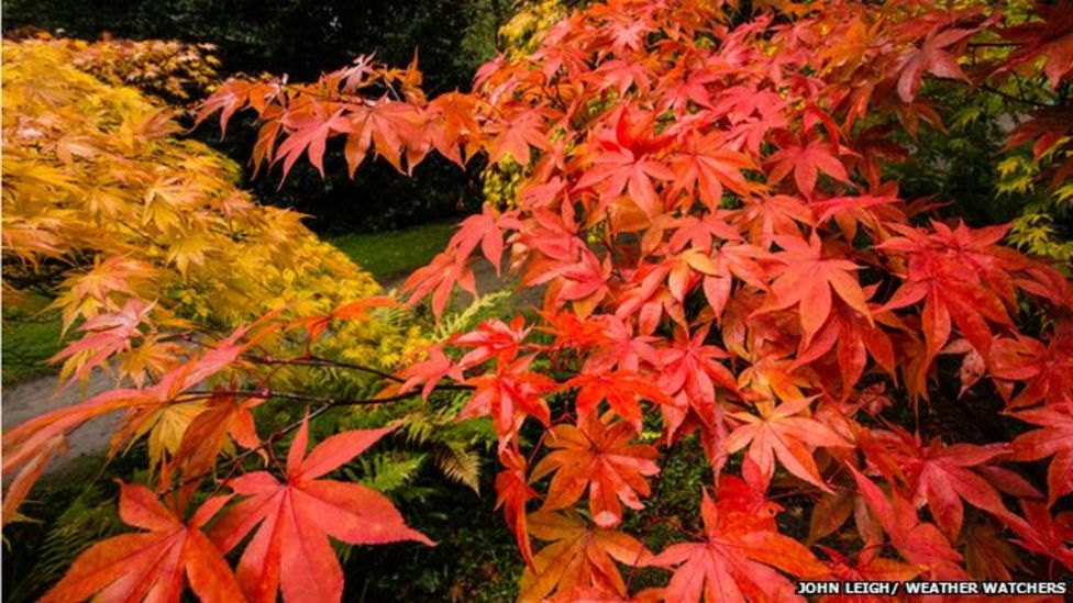 Meteorological autumn - BBC Weather