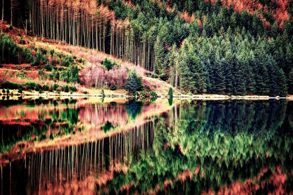 Eryri yn yr hydref // Snowdonia in autumn - BBC Cymru Fyw