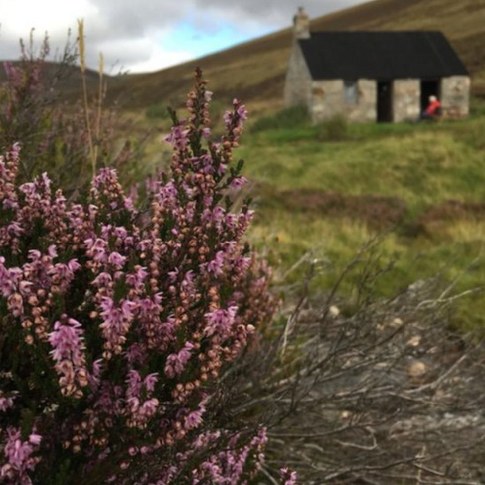 Your pictures of Scotland: 15-22 June - BBC News