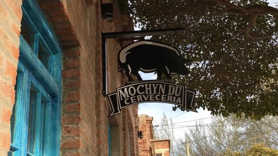 Iechyd da o'r Mochyn Du! - BBC Cymru Fyw