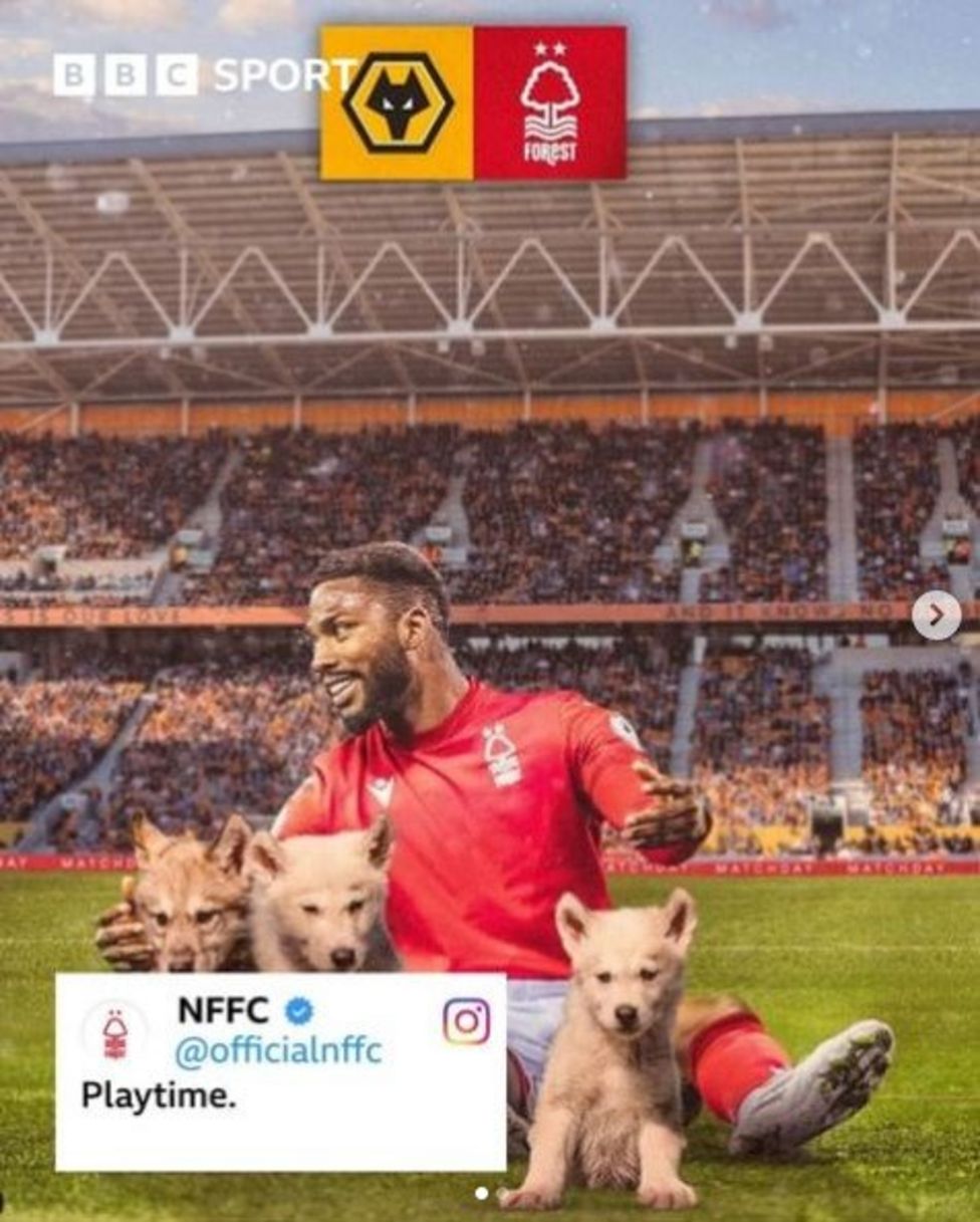 Nottingham Forest boss Steve Cooper says tweet before Wolves defeat not ...