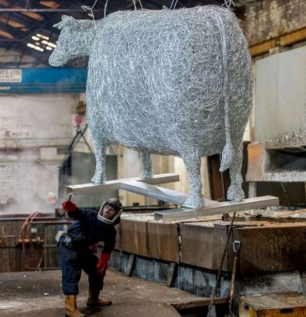 Sculpture of fattest ever cow the Craven Heifer unveiled - BBC News