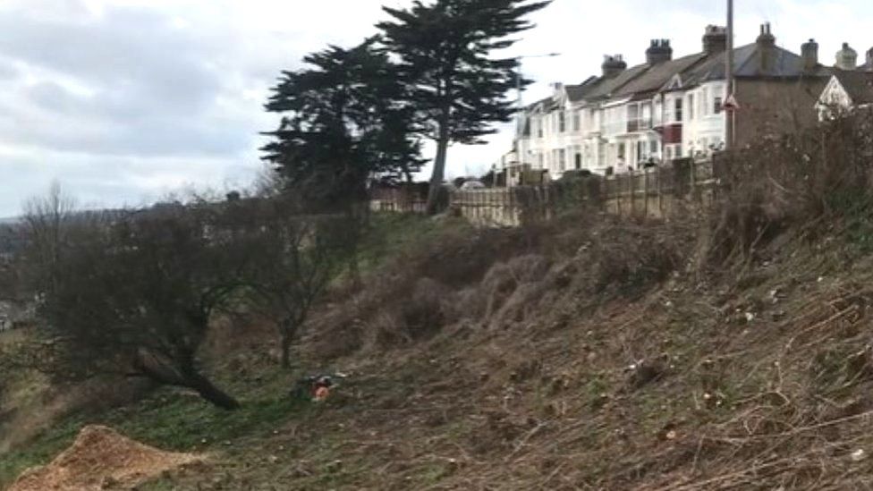 Trees cleared over Leigh-on-Sea cliff subsidence fears - BBC News