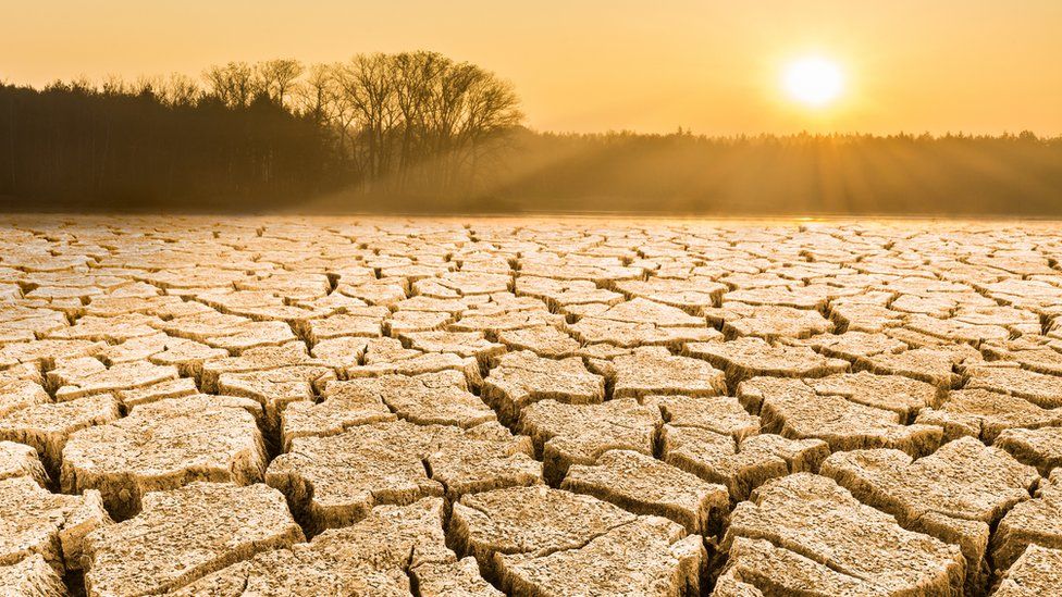 Climate Change: Are we passing some key 'tipping points'? - BBC News