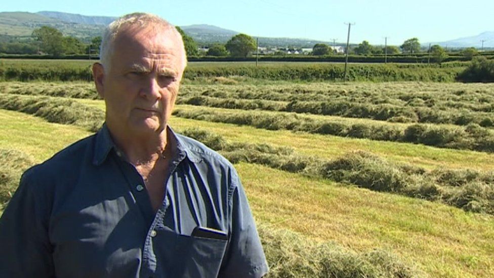 Caernarfon Show cancelled over equine flu fears - BBC News