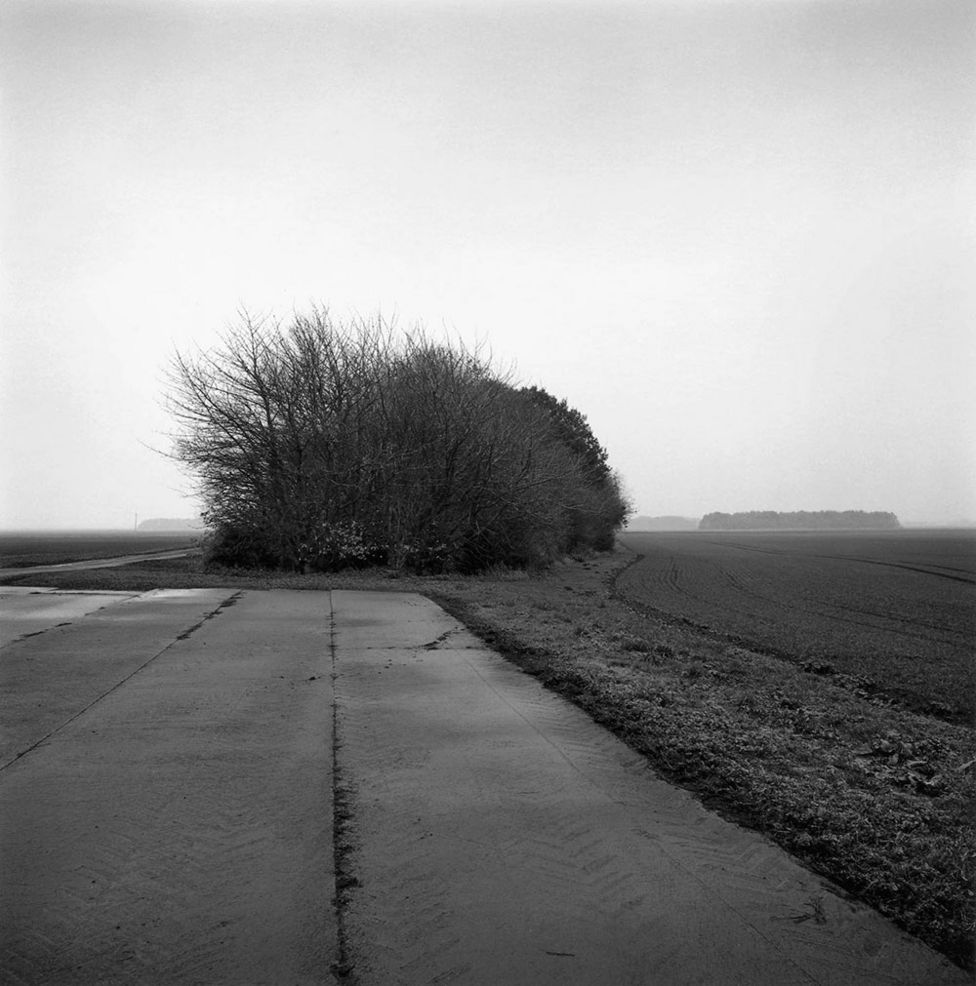 In pictures: The beauty of the fens - BBC News