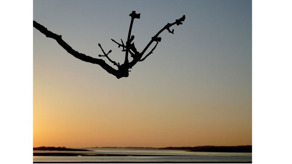 Yr hydref mewn lluniau // Autumn 2015 in pictures - BBC Cymru Fyw