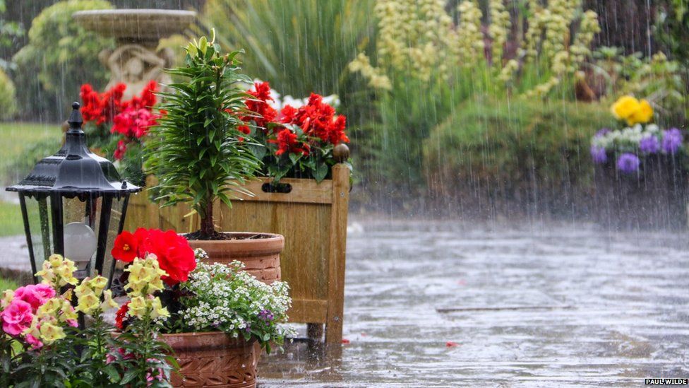 Your recent summer weather photos - BBC Weather