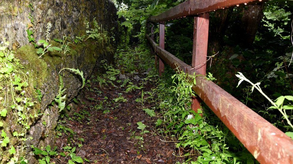 Salcombe murder: AA man's 'bizarre' encounter with killer - BBC News