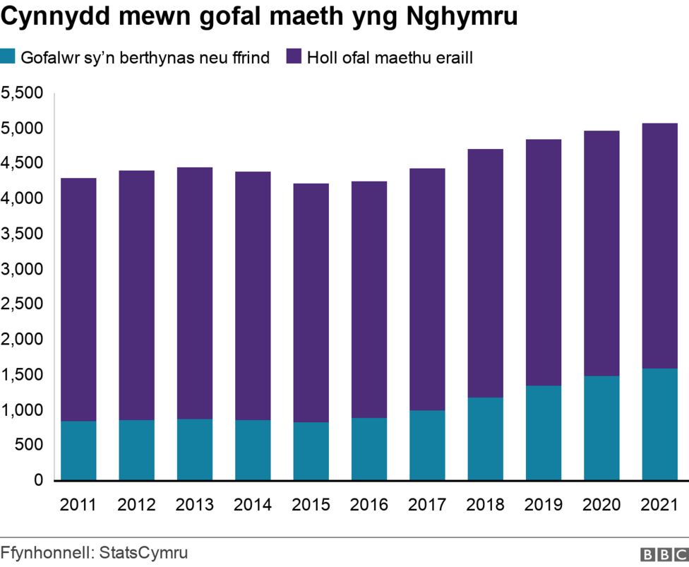 Gofalwyr plant sy'n perthyn yn darparu 'gofal rhad' - BBC Cymru Fyw