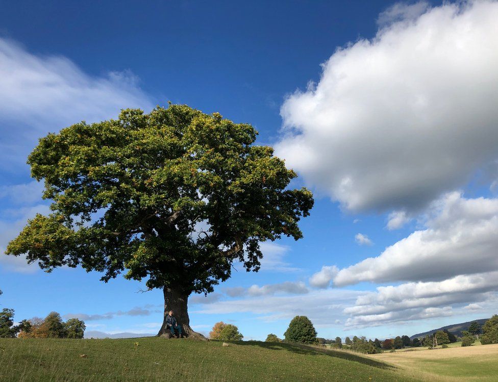 England's Big Picture: 17 October - 23 October 2022 - BBC News