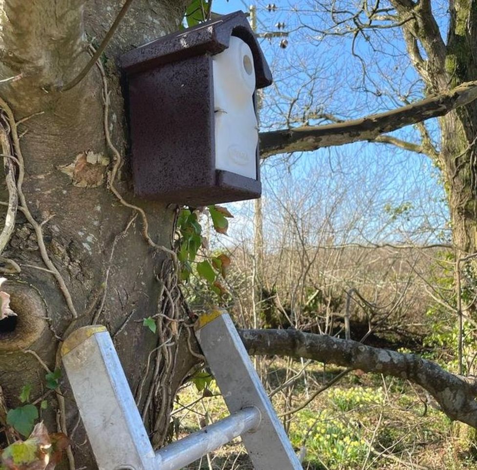 Y fferm aeth nôl i natur - BBC Cymru Fyw