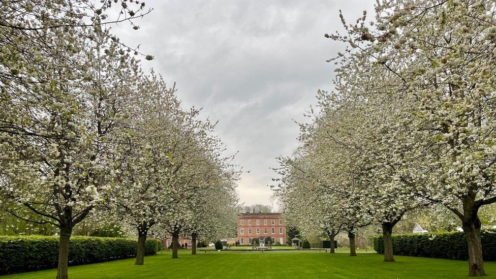 Beautiful displays as spring blooms across the UK - BBC Weather