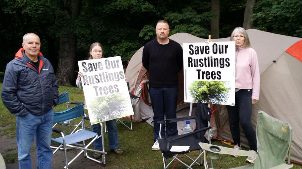 Protest camp over Sheffield tree felling plan - BBC News