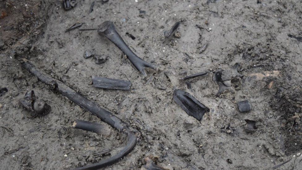 New finds at Bronze Age 'Pompeii' Must Farm quarry - BBC News