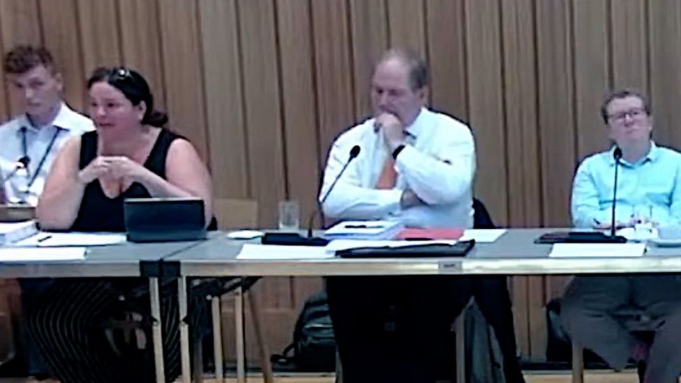 Politicians criticised over green plan 'cowardice' - BBC News