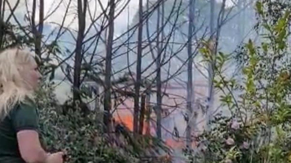 Fire crews save Grays wildlife hospital from blaze - BBC News