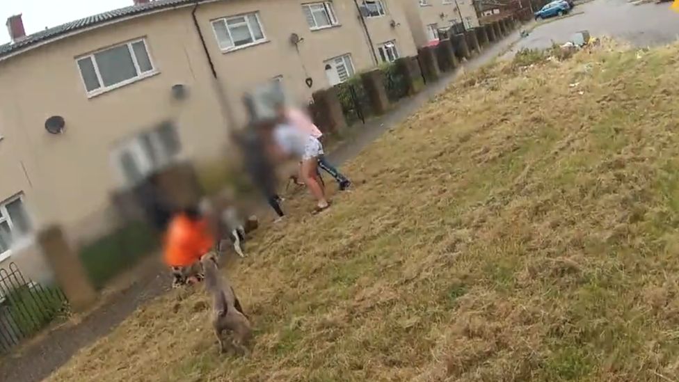 Footage of Coventry Tasered dog attack released by police - BBC News