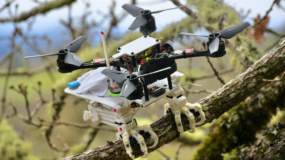 Scientists make robot bird that can land on branches - BBC Newsround