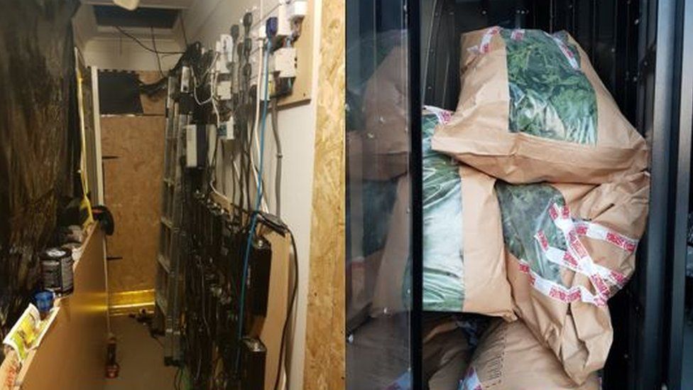Northamptonshire: Large cannabis factory found in village - BBC News