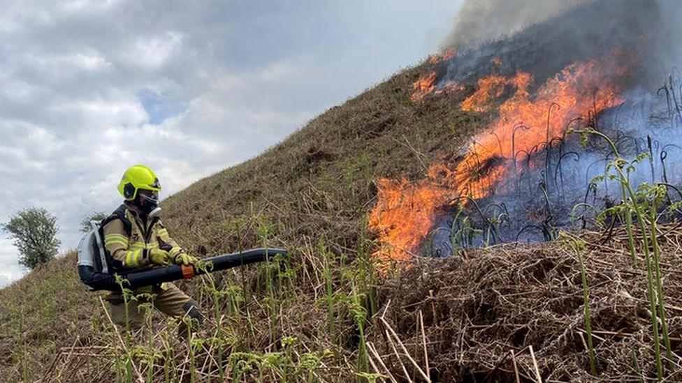 Dŵr gwastraff i daclo tanau i warchod cyflenwadau - BBC Cymru Fyw