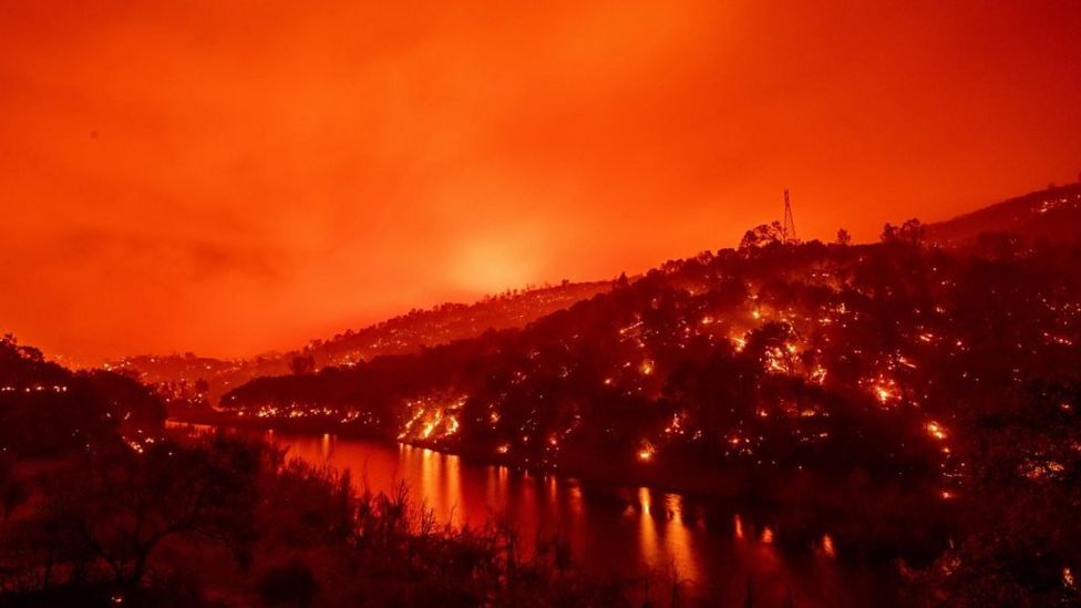 'Zombie fires' spark record Arctic CO2 emissions - BBC News