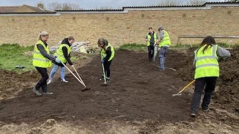 Carly Burd: 'I want to make positive from Harlow allotment salt attack ...