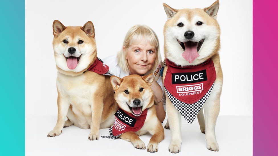 Dogs with jobs: London art gallery shows off amazing working canines ...