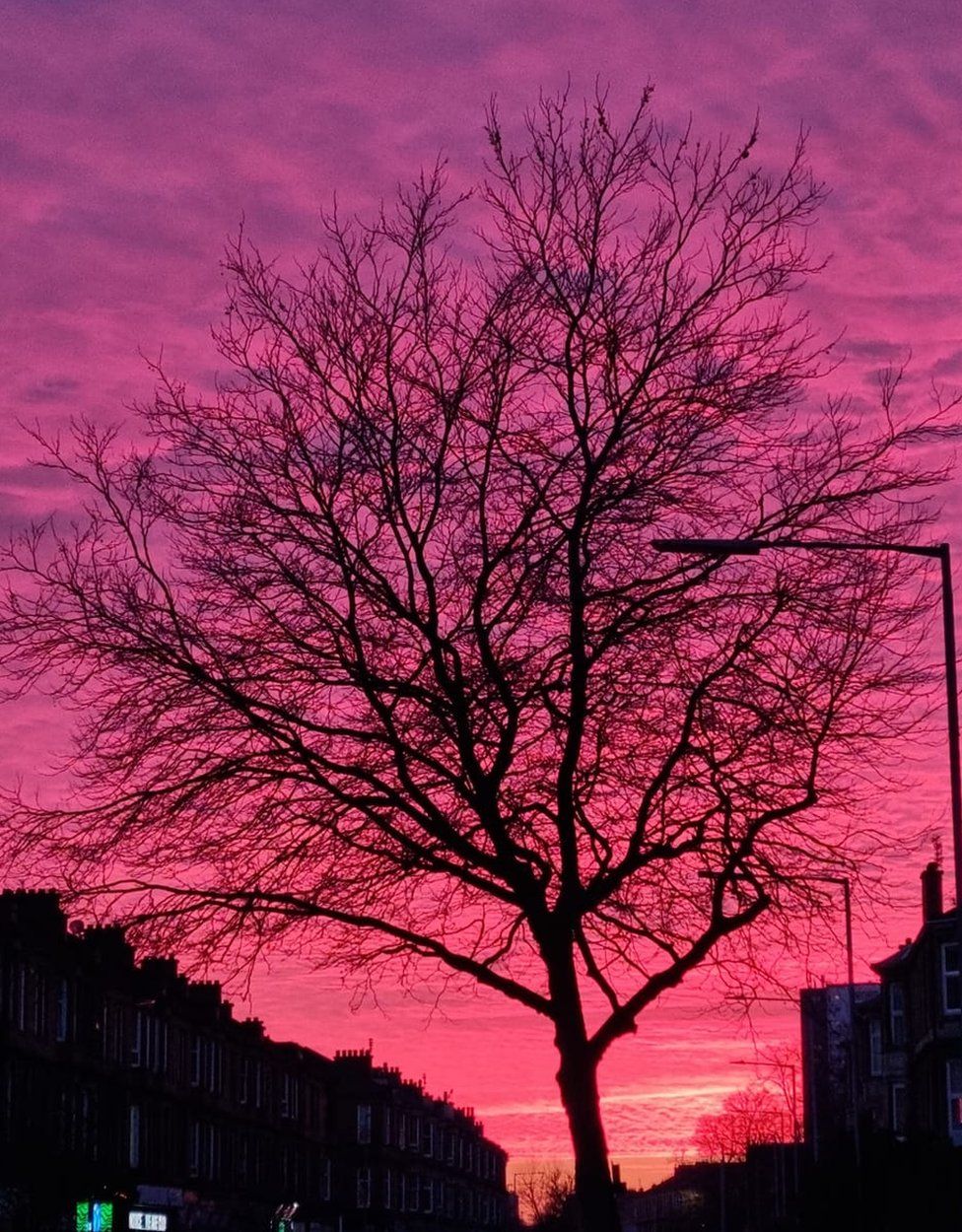 In pictures: Scotland's stunning sunset - BBC News
