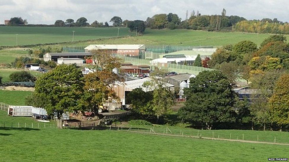 Hull killer Angela Burkitt died of Covid-19 pneumonia - BBC News