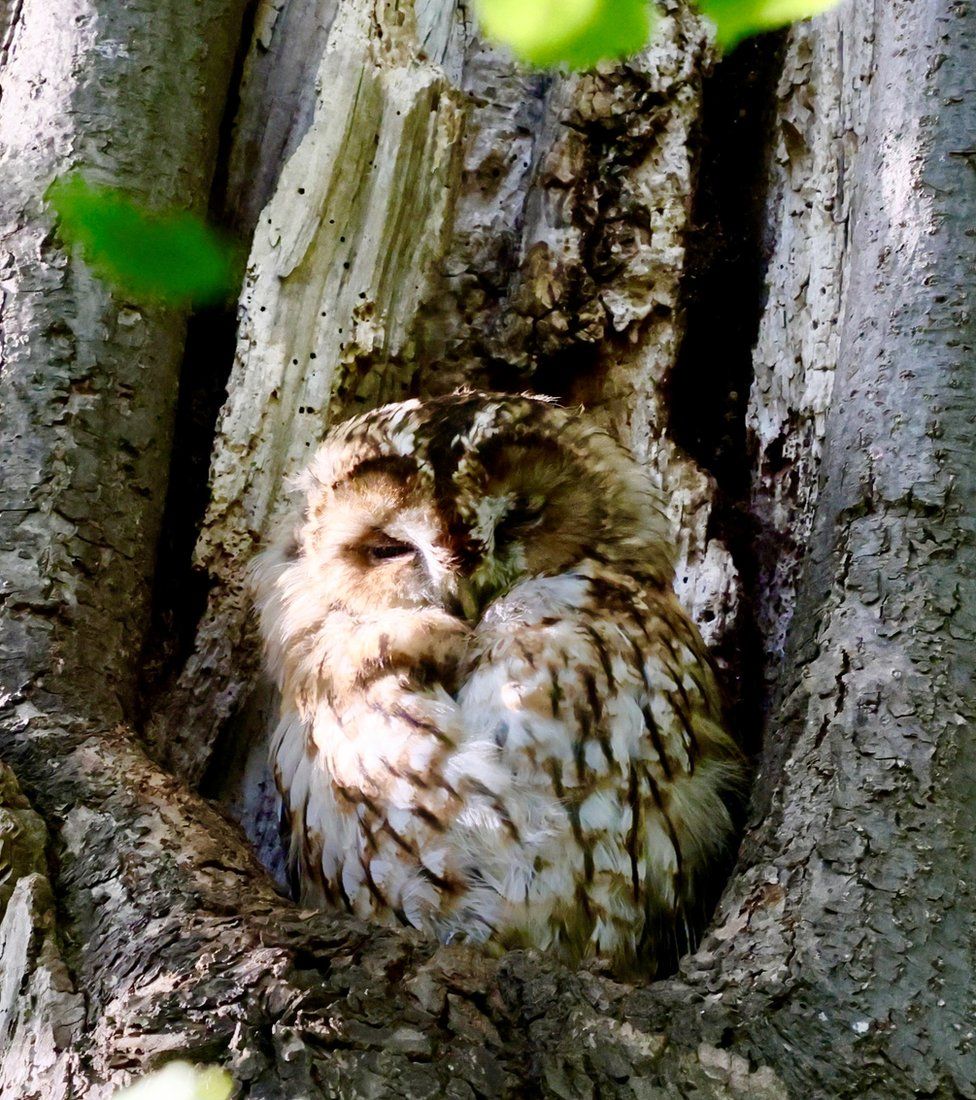 England's Big Picture: 27 September - 3 October - BBC News