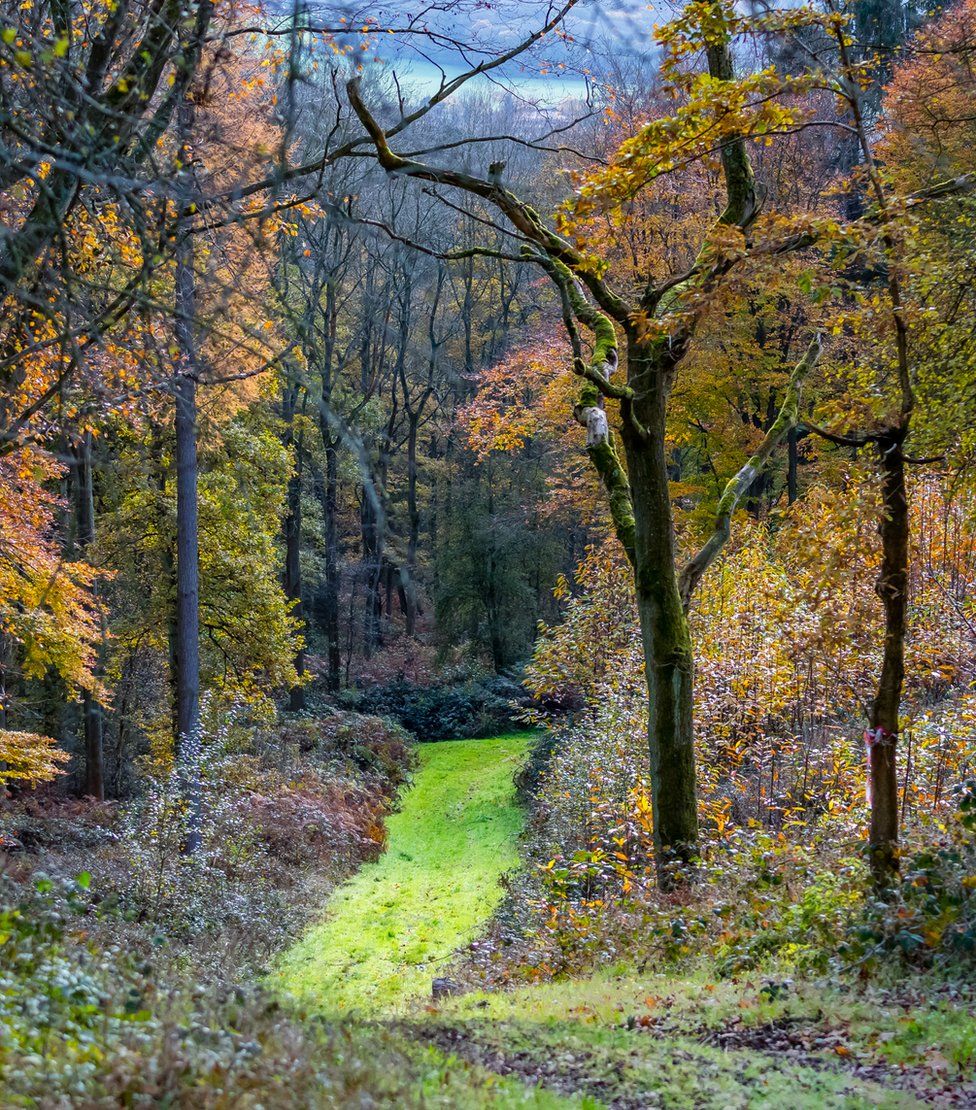 Oxfordshire's Big Picture - BBC News