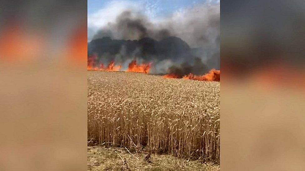 Crews tackle Brandon forest fire - BBC News