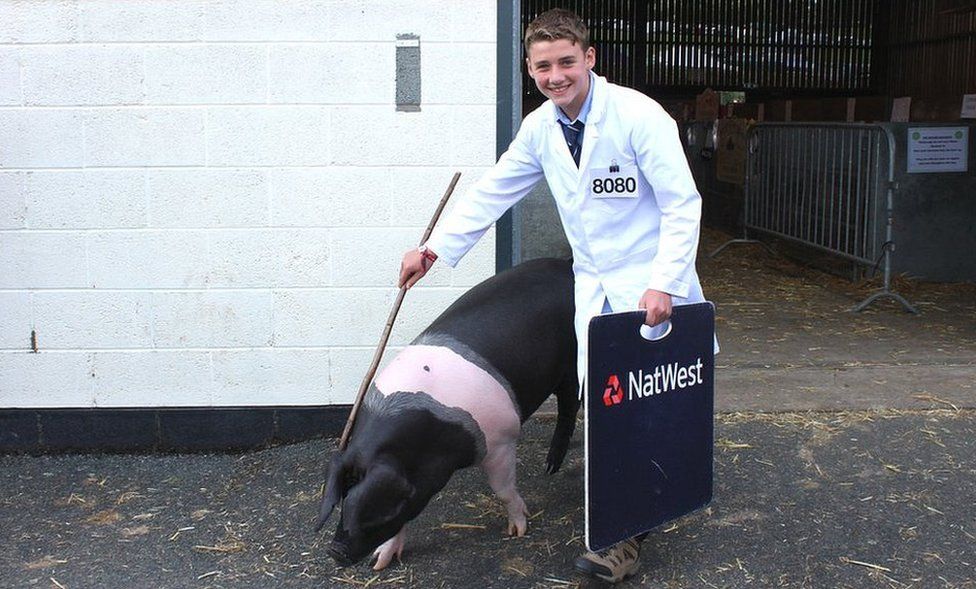 Royal Welsh Show: Pictures from the first day in Llanelwedd - BBC Cymru Fyw