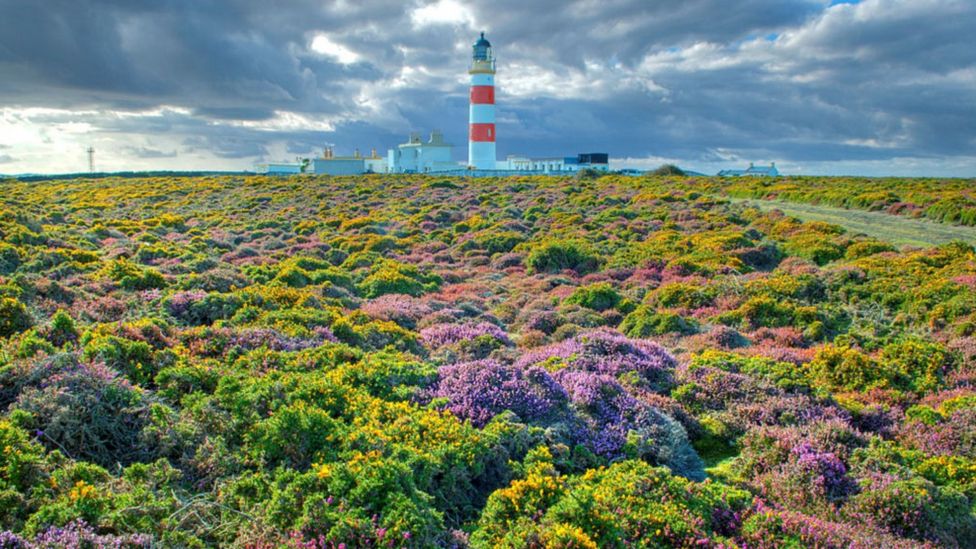 New family focus for Isle of Man nature discovery centre - BBC News