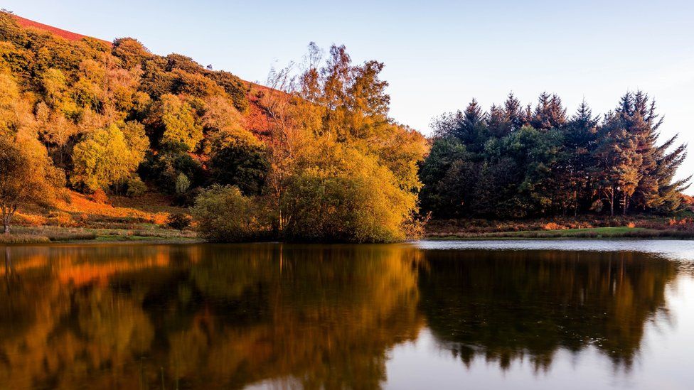 Lluniau'r hydref / Autumnal pictures 2017 - BBC Cymru Fyw