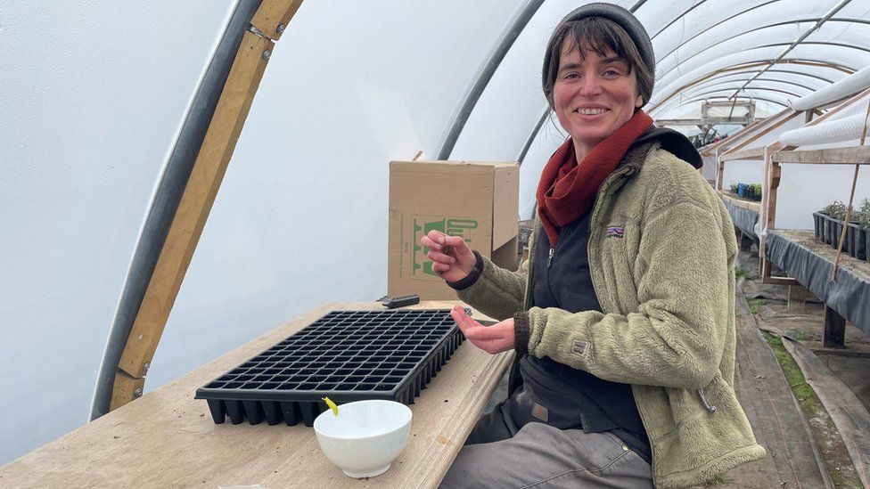 Amaeth: 'Pwysig deall o ble ddaw ein bwyd' - BBC Cymru Fyw