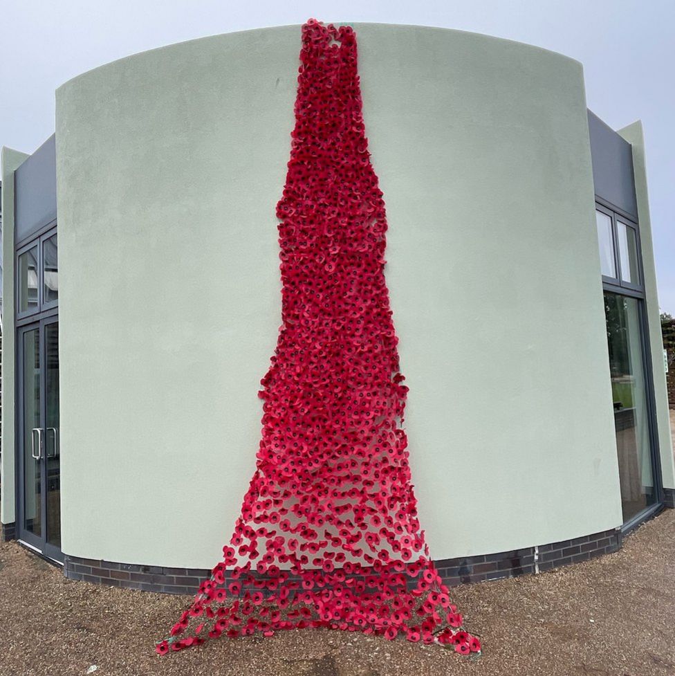 Woodley: Waterfall of poppies created to mark Remembrance - BBC News