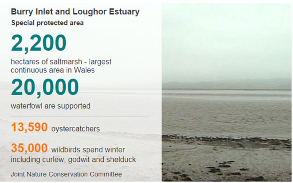 Burry Inlet sewage European court case looms - BBC News