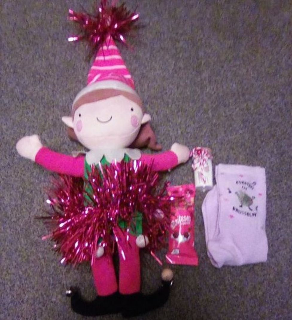 Christmas elves: What have they been up to so far this festive season ...