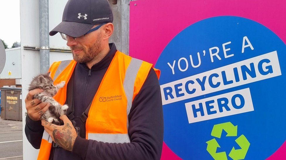 Orphaned kittens rescued at Stone Recycling Centre - BBC News