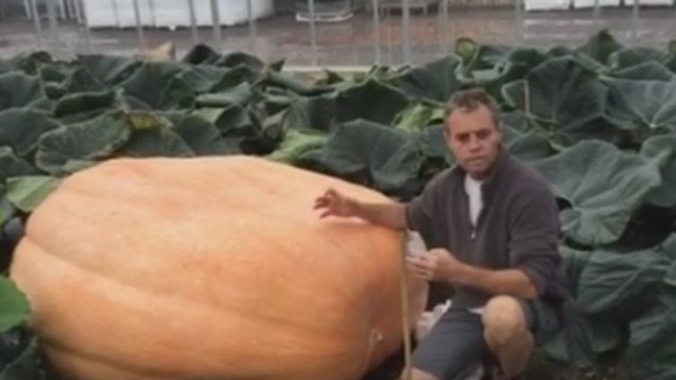 New UK pumpkin record for brothers Ian and Stuart Paton - BBC News