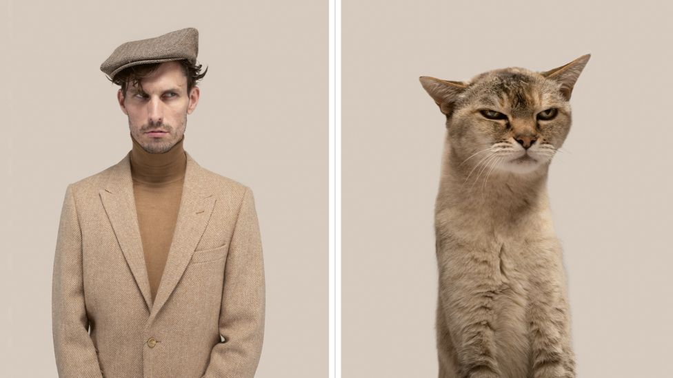 Meet the cats with human lookalikes! - BBC Newsround