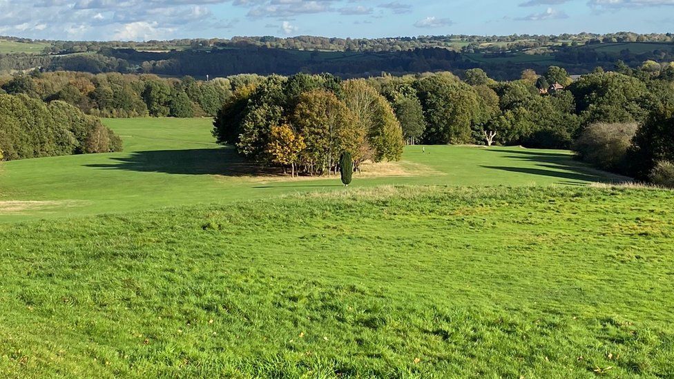 Allestree Park: UK's largest urban rewilding project gets approval ...
