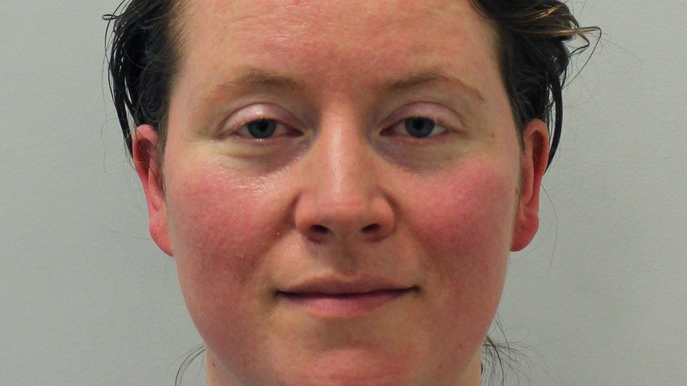 Salcombe murder: AA man's 'bizarre' encounter with killer - BBC News