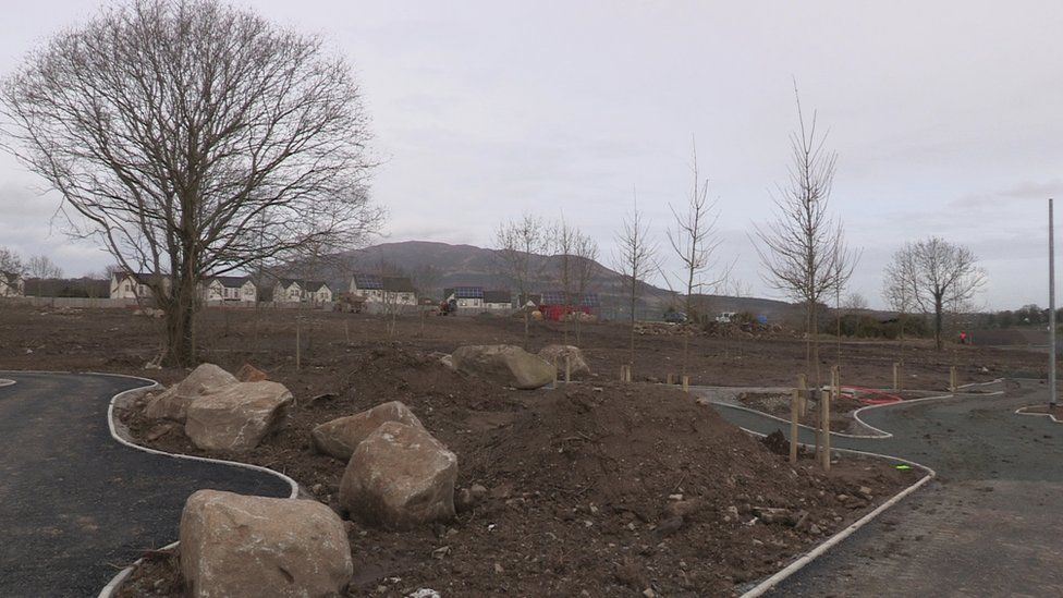 Forkhill peace forest planted at former army base - BBC News